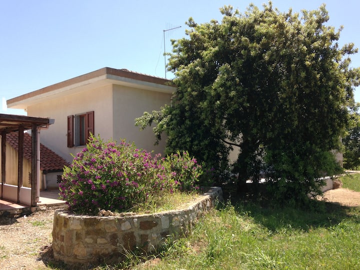 Residenza I Filari: Villa Nel Verde - Alghero