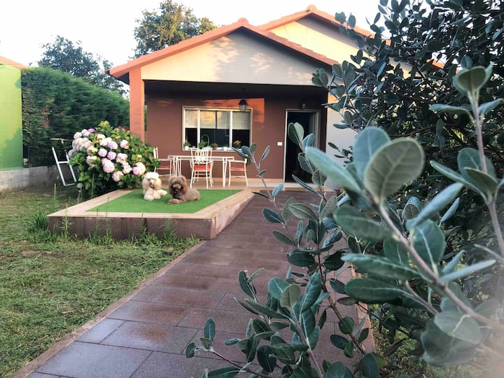 Serena Barrosa - Sanjenjo