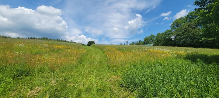Delightful Glamping Campsite Near Artsy Littleton - Littleton, NH