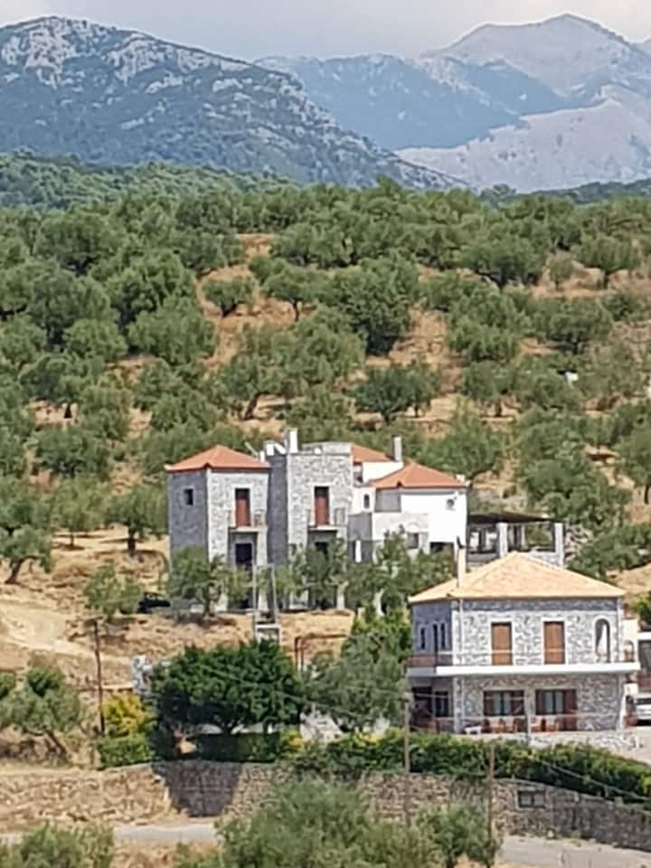 Σπίτι Μεγ. Μαντίνεια με  θέα τον Μεσσηνιακό Κόλπο - Kalamata