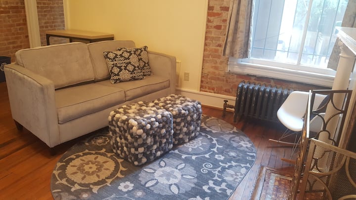 Walk Everywhere! Charming Adams Morgan 1 Br! - Downtown, DC