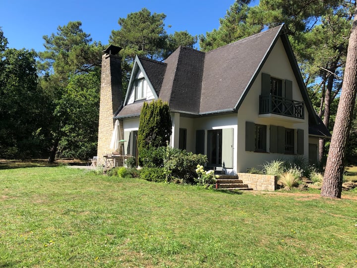 Petit Paradis Touquet Centre-villa Les Chevreuils - Le Touquet-Paris-Plage