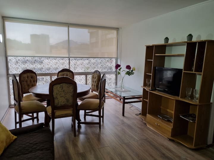 Amplio Departamento, Ubicado En Providencia - Providencia