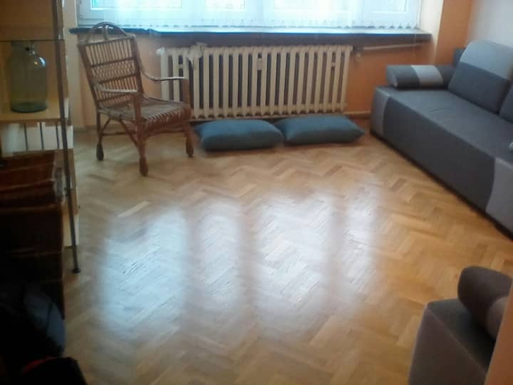 Large Sunny Room, Kitchen, Hallway, Bathroom - Krakov