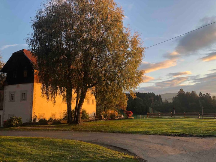 Ferienwohnung Am Bauernhof - Waldblick - Ossiacher See