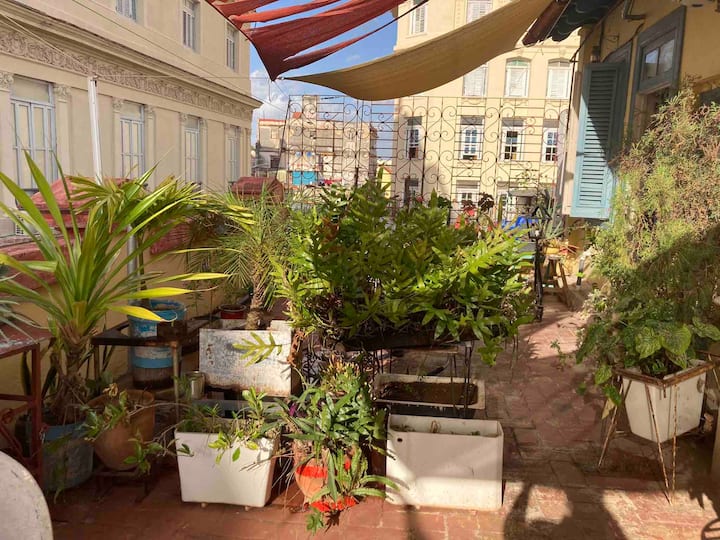 Paloma Apartment -(No Scheduled Blackouts) - Cuba