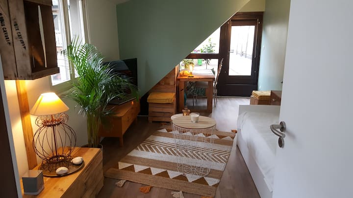 Centre Lovely Duplex With Parking - Strasbourg