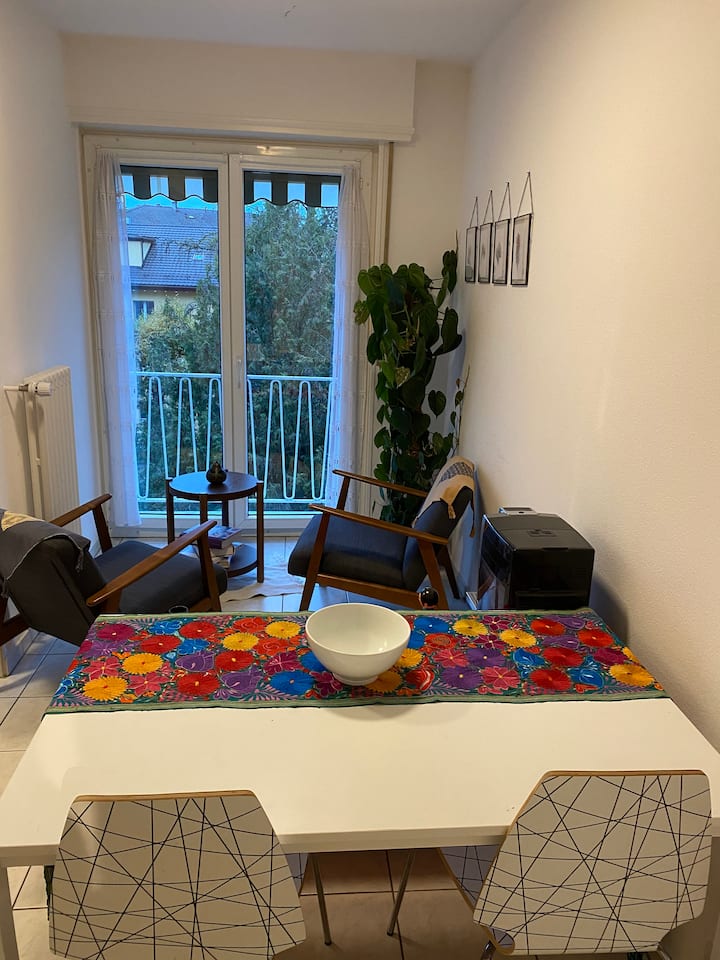 A Very Nice And Cozy Apartment, The Neighborhood Is Very Quiet And Nice For Walks.
10 Minutes To The City Center By Public Transport 
5 Minutes (Walking Or Public Transport) To The Supermarket. - Lausanne