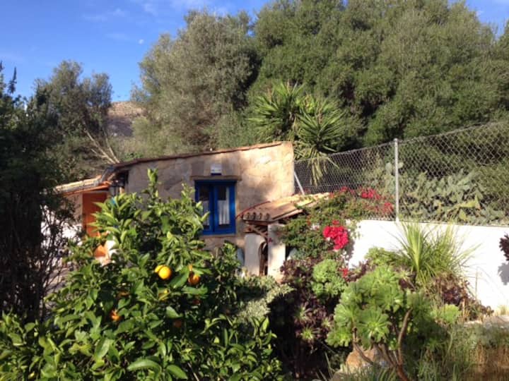 Precioso  Bungalow En Un Jardin De Ensueño. - Santa Ponsa