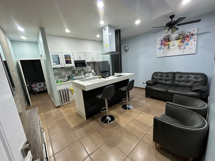 Great Value Girasoles 305 - Tijuana