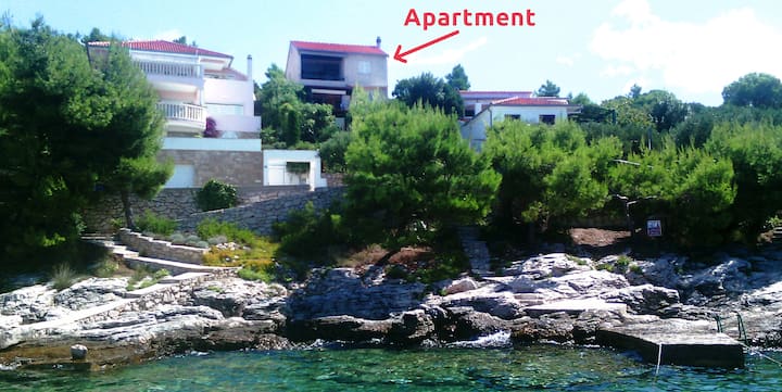 Apartment With The Sea View, 20m From The Sea - Murter