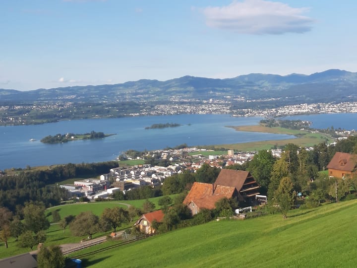 M2 Owl Attic In Traditional House - Rapperswil-Jona