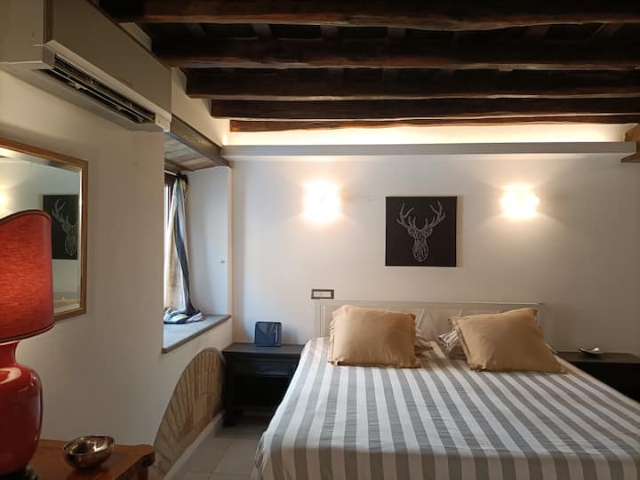 Smm145 Appartamento Rione Monti - Rome