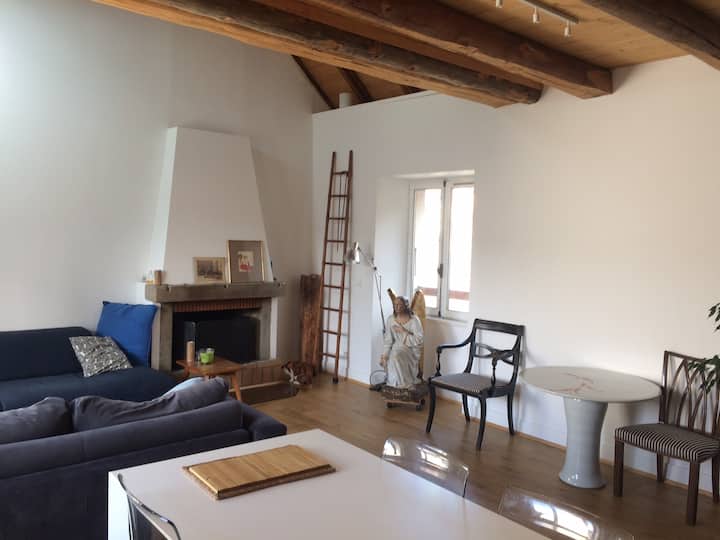 Magnifique Duplex De 160m2, Calme Et Lumineux. - Veyrier-du-Lac