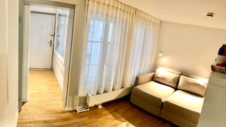 Tiny Apartment - スイス ベルン