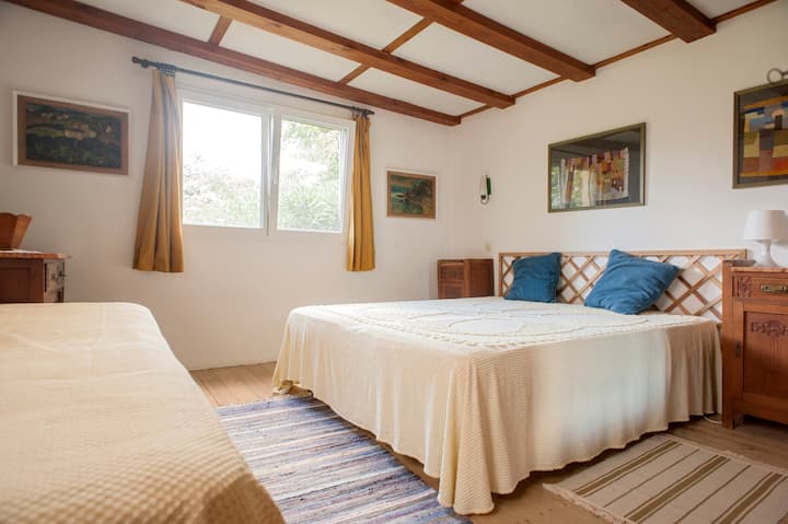 Casa Furrer Tt - Livorno