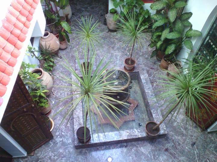 Dream Palace - Asilah