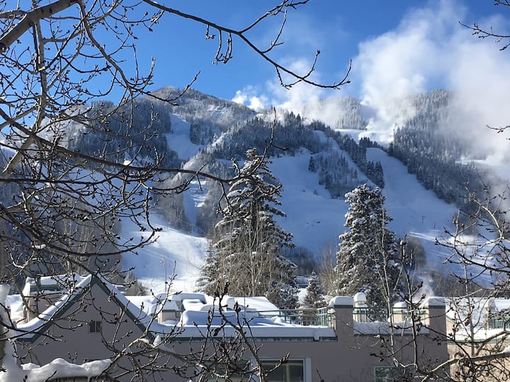 Downtown Sweeping Aspen Mt Views Contemporary - Aspen