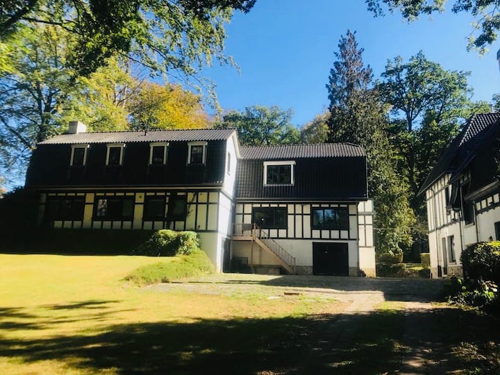 Brussels In The Woods Studio - Waterloo