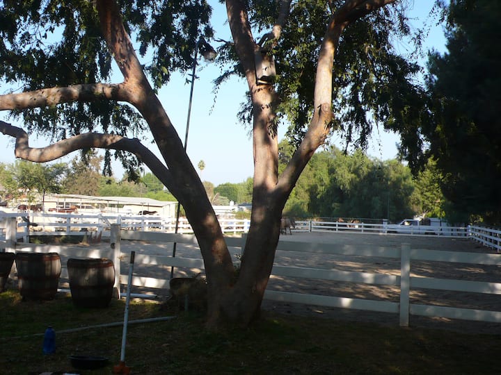 Top 7 Ranches In Los Angeles, California | Trip101