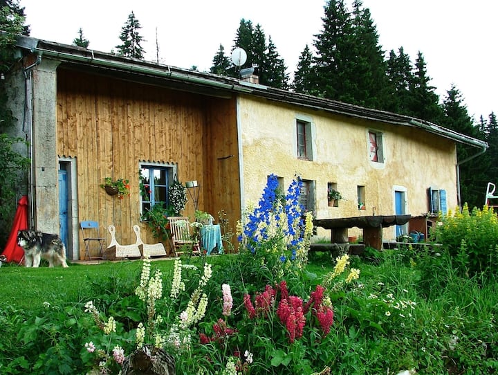 Appartement Dans Ancienne Ferme Isolée - Lélex