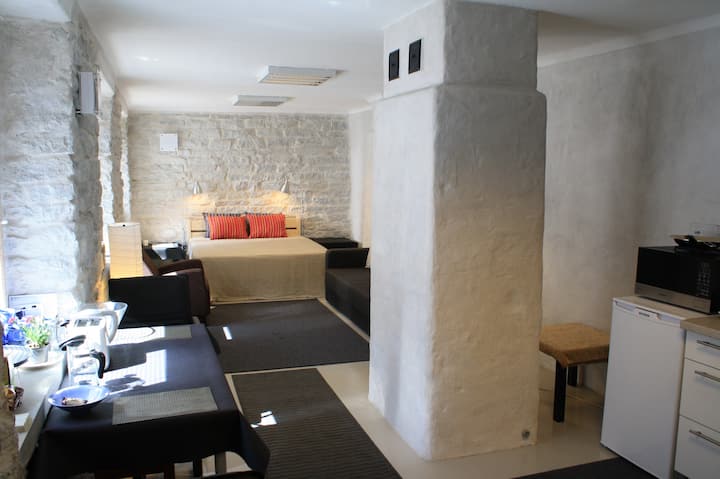 Artistic Studio Apartment @ Kassisaba - Estland