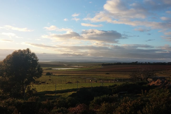 Moya Farm Cottage - Malmesbury