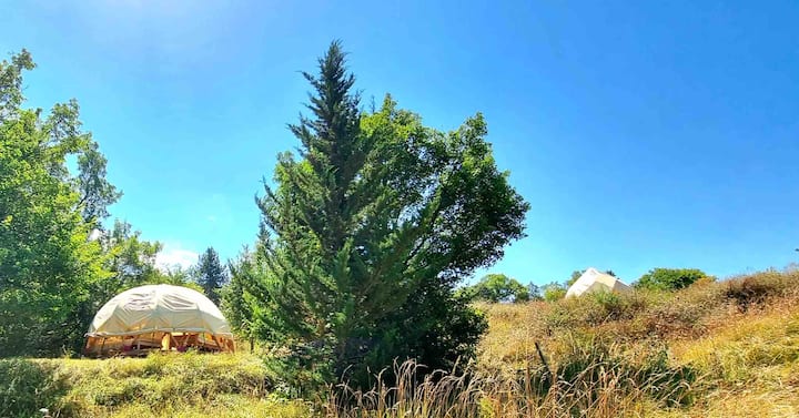Bambou Dôme Géodésique En Pleine Nature - Axat
