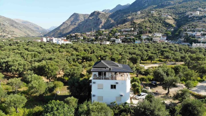 5-bedroom Beachside Villa In Olive Forest - Borsh