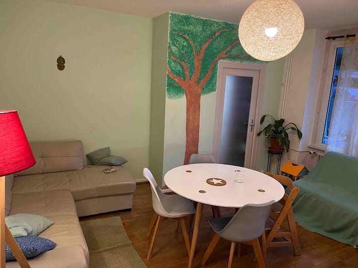 Chambre à Genève - Geneva