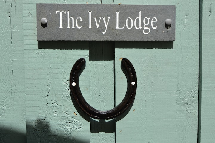 Luxury Sc Studio 5* Dartmoor/beach Nearby Aonb - Ivybridge