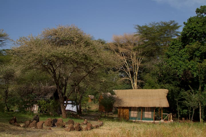 7 Best Huts In Kenya - Updated 2021 | Trip101