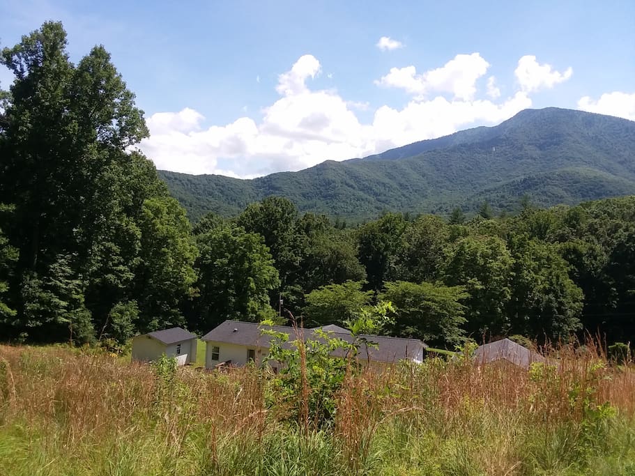 Celo Knob Cottage, - Guesthouses for Rent in Burnsville, North Carolina ...