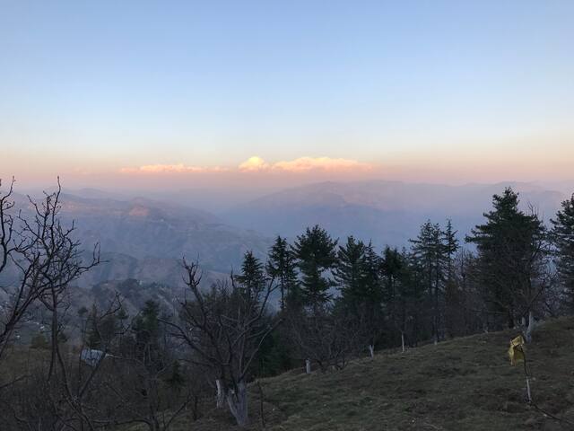 Theog Travel Guide 2022: Best of Theog Tourism | Tripoto