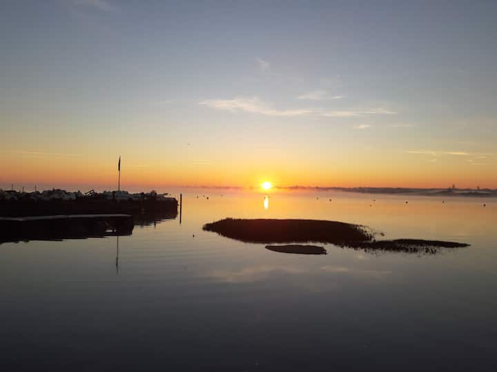 Les Pieds Dans L'eau...appt T2-4 Places - La Teste-de-Buch