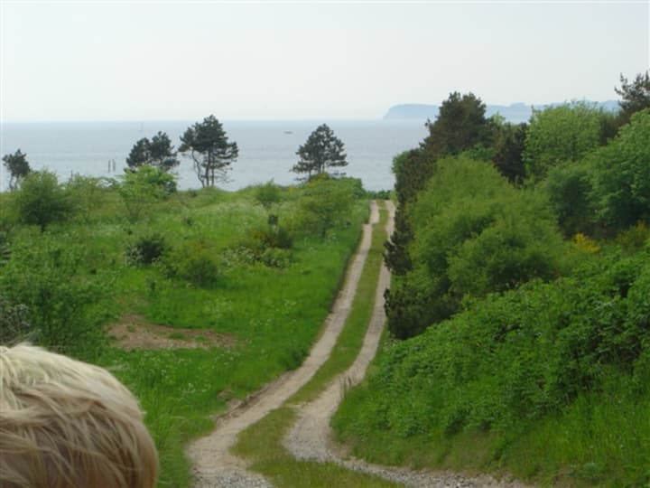 Cozy summer house at Helgenæs - Cottages for Rent in Knebel, Denmark ...