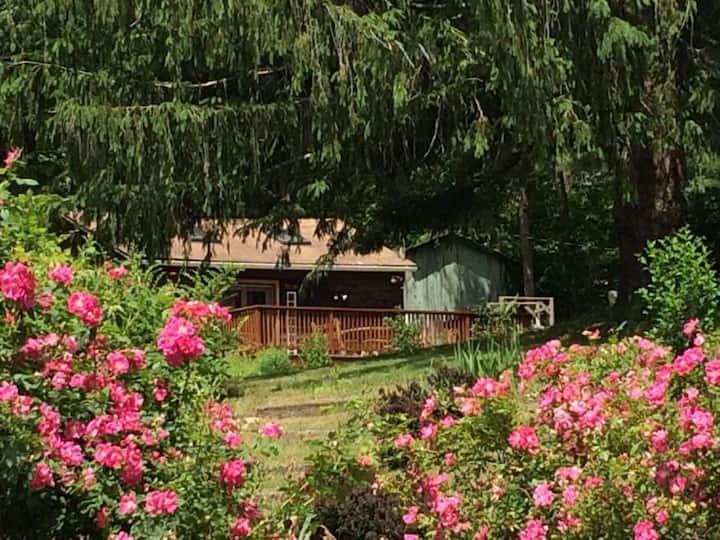 Cozy Cabin With Huge Deck With Great Views - Phoenicia, NY