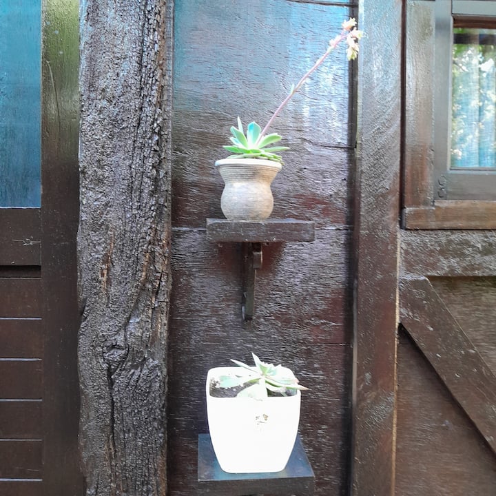 Monoambiente A Tres Cuadras Del Mar- Rústico - Pinamar