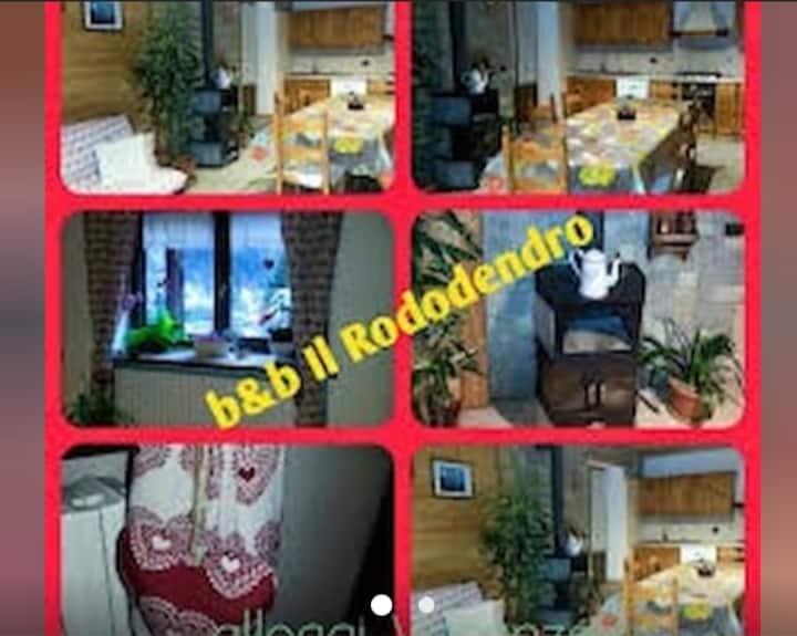 Il Rododendro - Isola 2000