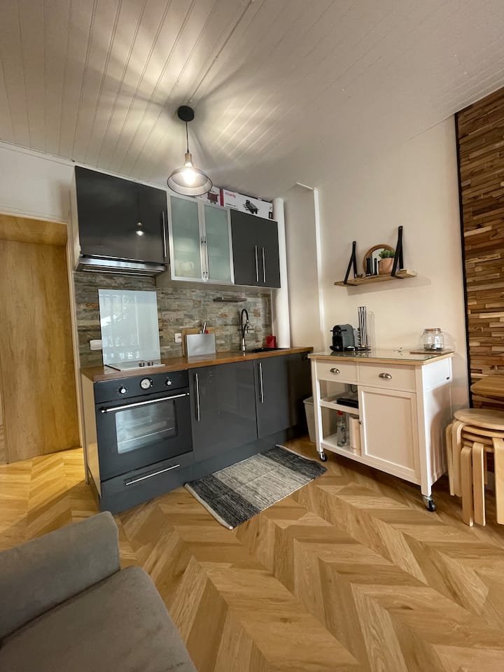 T3  Moderne 45 M2, à 5 Mn Des Pistes, Wifi, 5 Pers - Valberg