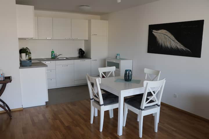 Helle Und Ruhige 55 Qm² Wohnung  In Feldkirch - Feldkirch