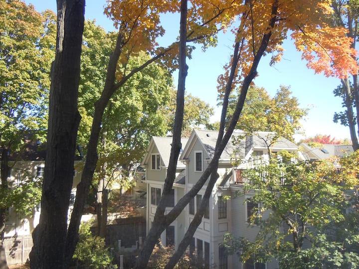 Harvard Square Home In Heart Of Cambridge! - Cambridge, MA