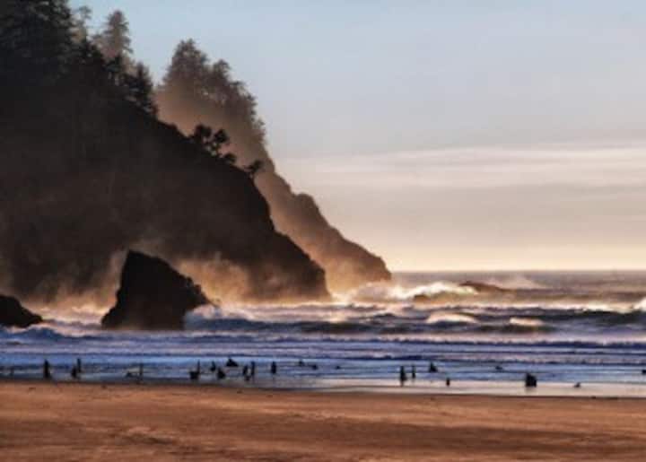 Perfect 3rd Floor Vista, Dogs Are Welcome Too! - Neskowin, OR