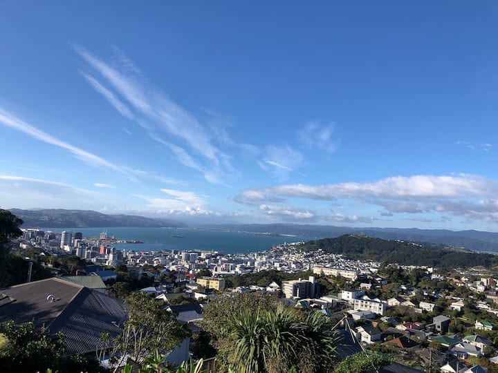 On Top Of The World In Wellington - Entire House - Wellington