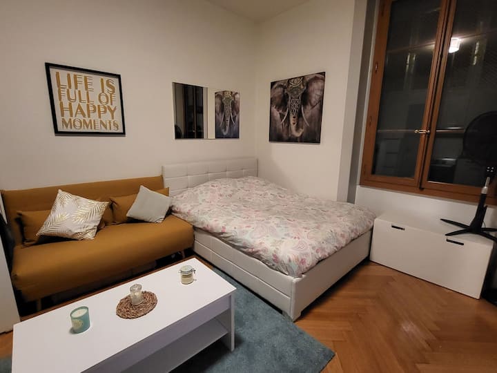 Cozy Studio Close To The Train Station And Un - Ginebra