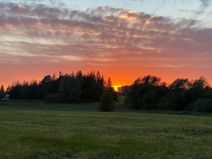 Ravens’ Pad Campsite At June Bud Farms - Ferndale, WA