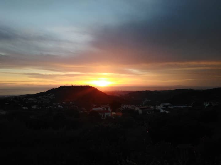 Limoneros - Gran Canaria