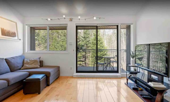 Superbe Condo Au Pieds Des Pentes Citq 246750 - Stoneham-et-Tewkesbury