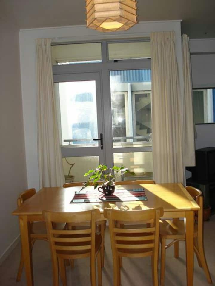 Full 54 Sq M Apartment Central Wellington. - Wellington