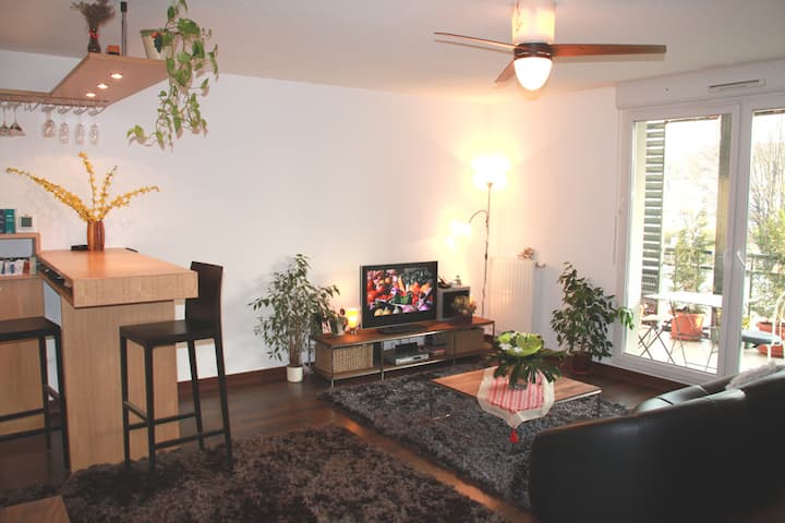 Appartement Idéalement Situé à Colmar - Haut-Rhin